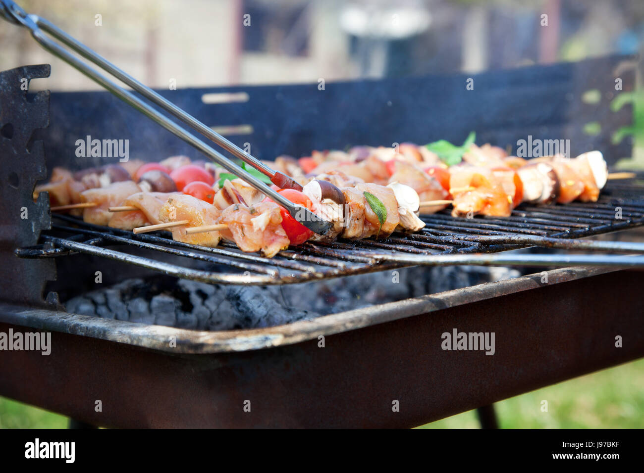 garden, spring, grill, barbecue, barbeque, bbq, bar-b-q, meat, healthy ...