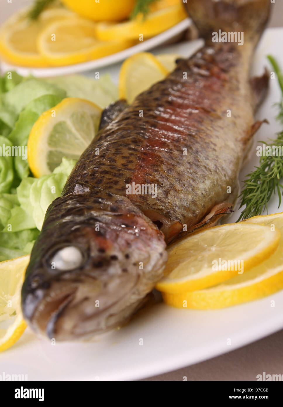 food, aliment, angle, fish, trout, dish, meal, grill, barbecue ...