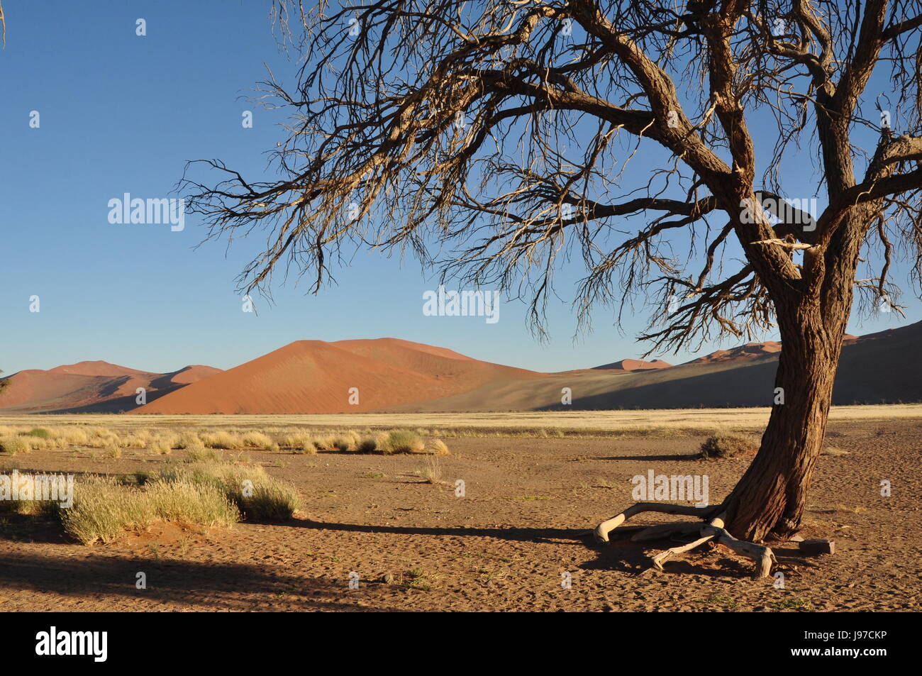 namibia - landscape of sossusvlei Stock Photo - Alamy