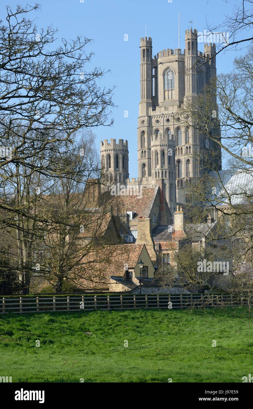 Ely Cathedral church tower from south Stock Photo - Alamy
