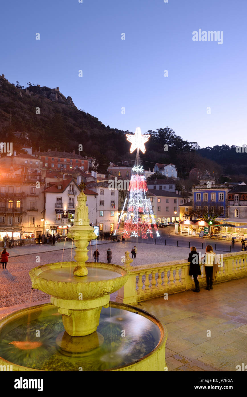 Tourism historic tree hi-res stock photography and images - Alamy