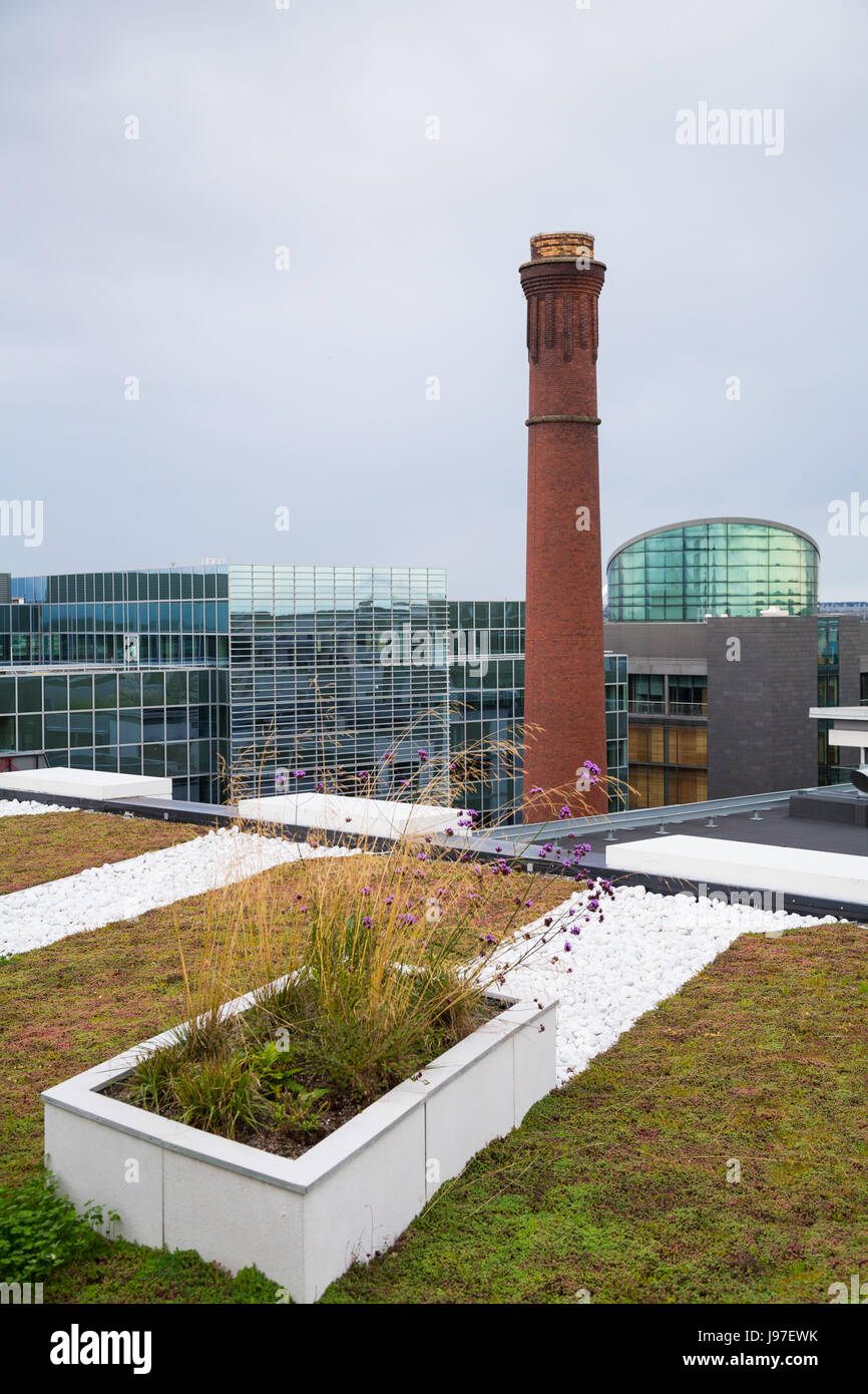 Skyline of Dublin City, Ireland Stock Photo - Alamy