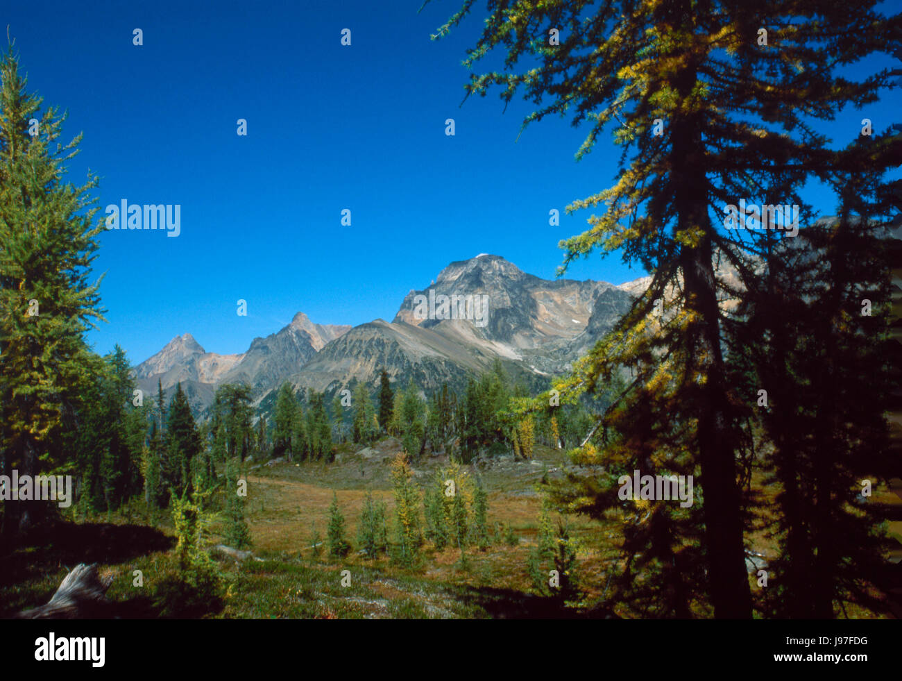 Purcell mountains hi-res stock photography and images - Alamy