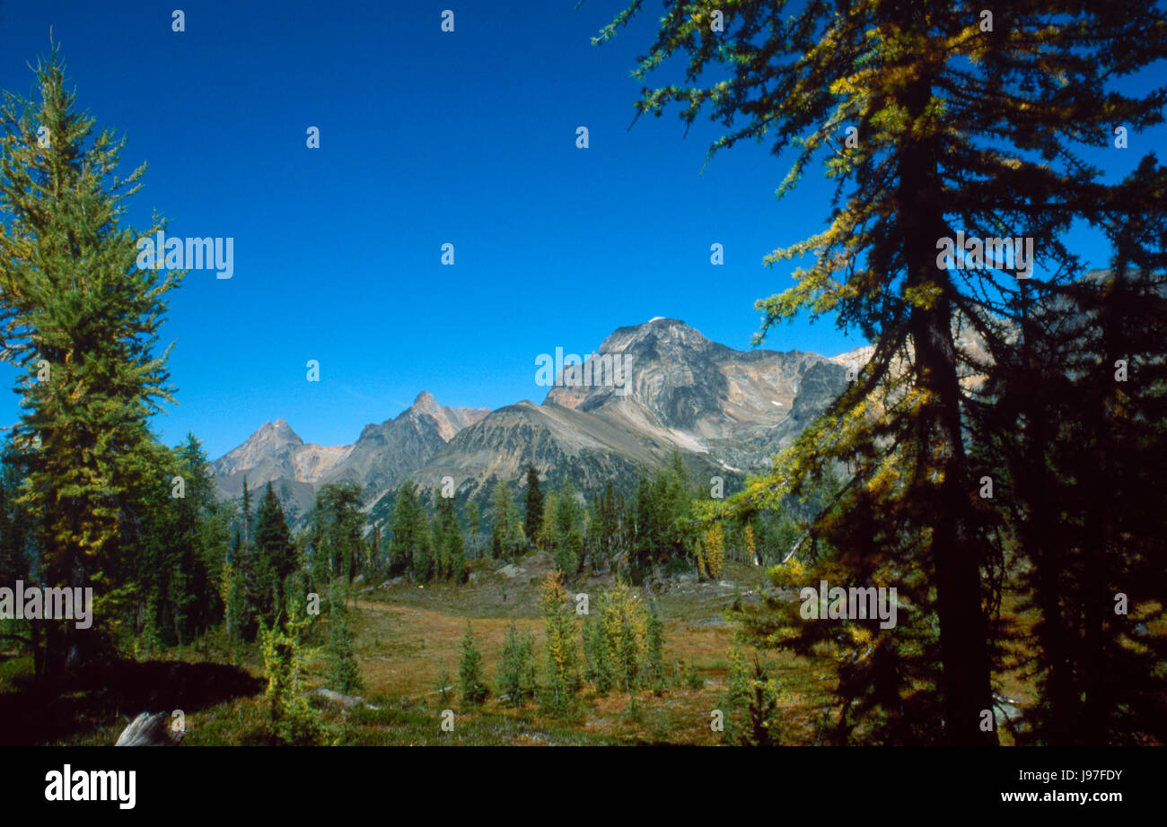 Purcell mountains hi-res stock photography and images - Alamy