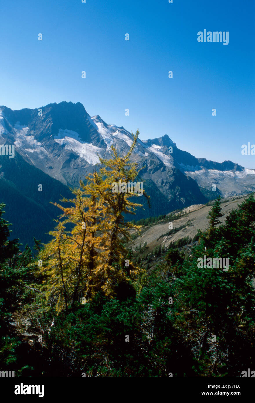 Purcell mountain range hi-res stock photography and images - Alamy
