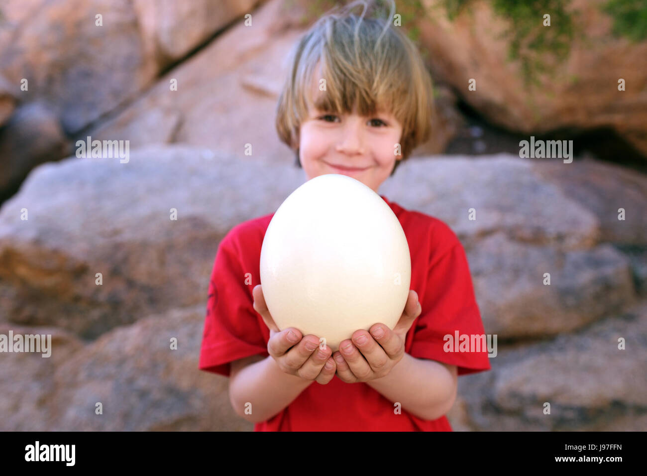 Young boy holding ostrich egg in his hands, Ranch Koiimasis, Namibia ...