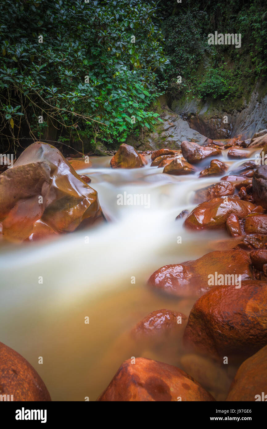 Orange volcanic river in Costa Rica cloud forest with green trees and ...