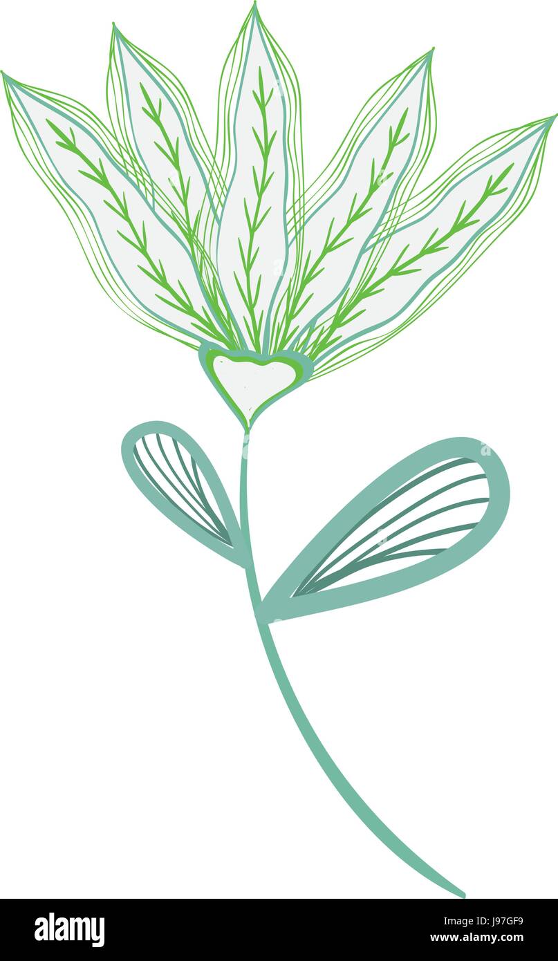 beautiful Flower decoration icon Stock Vector Image & Art - Alamy