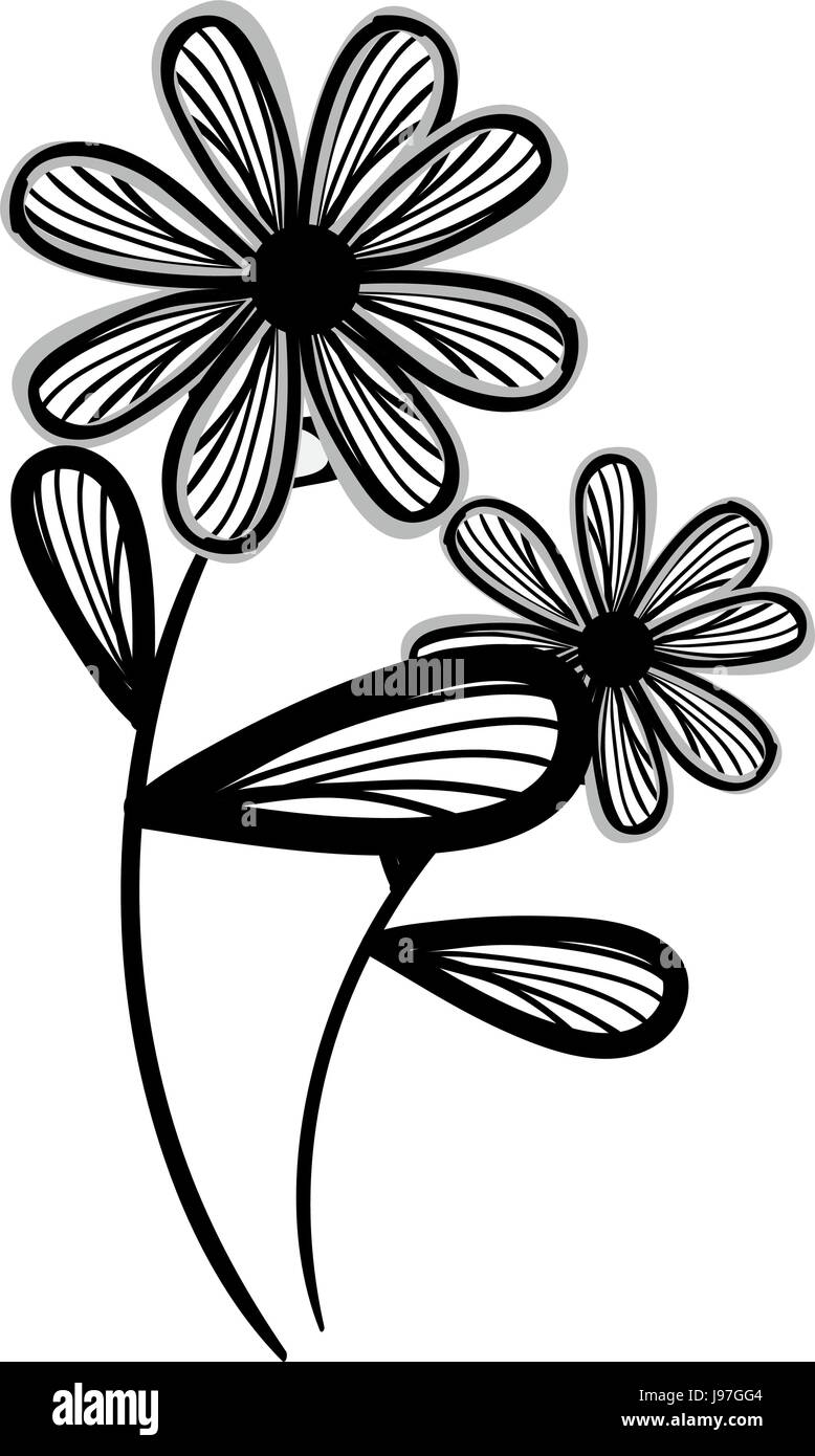 beautiful Flower decoration icon Stock Vector Image & Art - Alamy