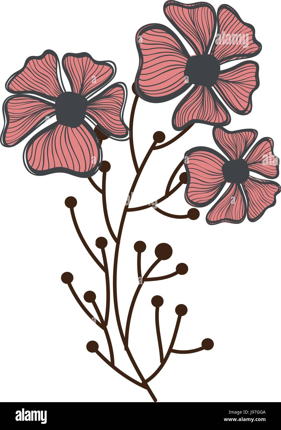 beautiful Flower decoration icon Stock Vector Image & Art - Alamy