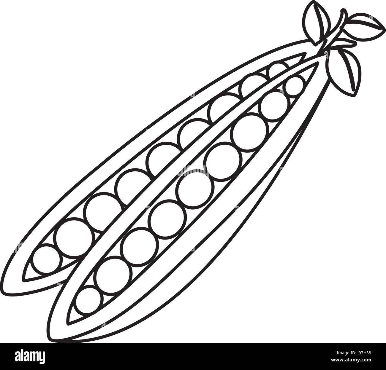 string bean fresh vegetable icon Stock Vector Image & Art - Alamy