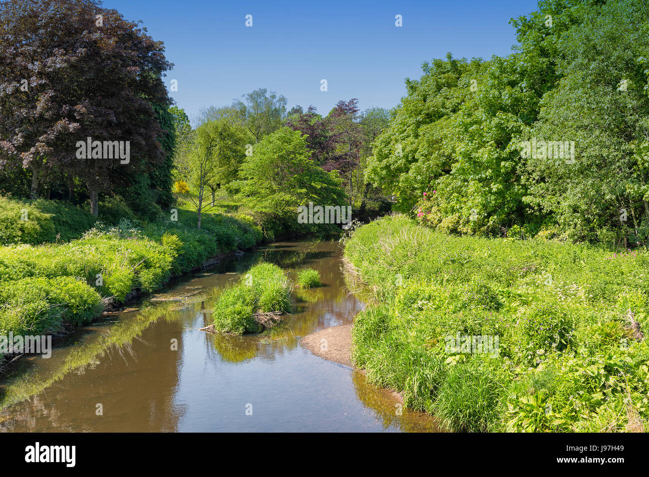 The ancient Lugton Water that runs through Eglinton park in irvine in ...