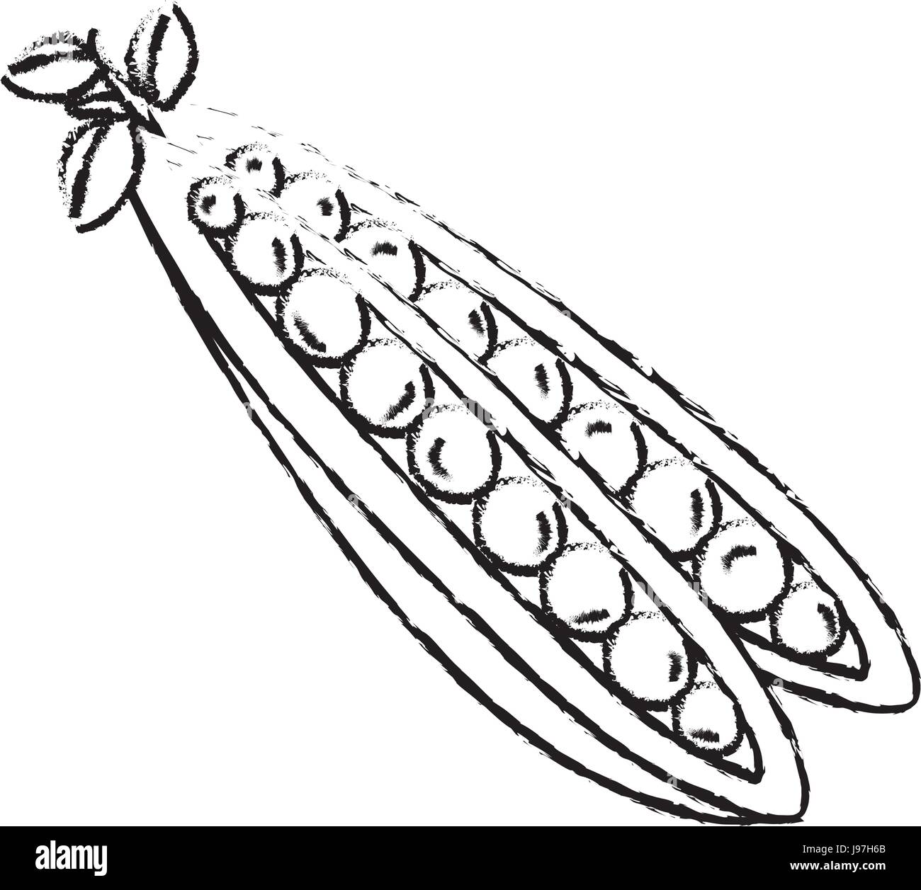 string bean fresh vegetable icon Stock Vector Image & Art - Alamy