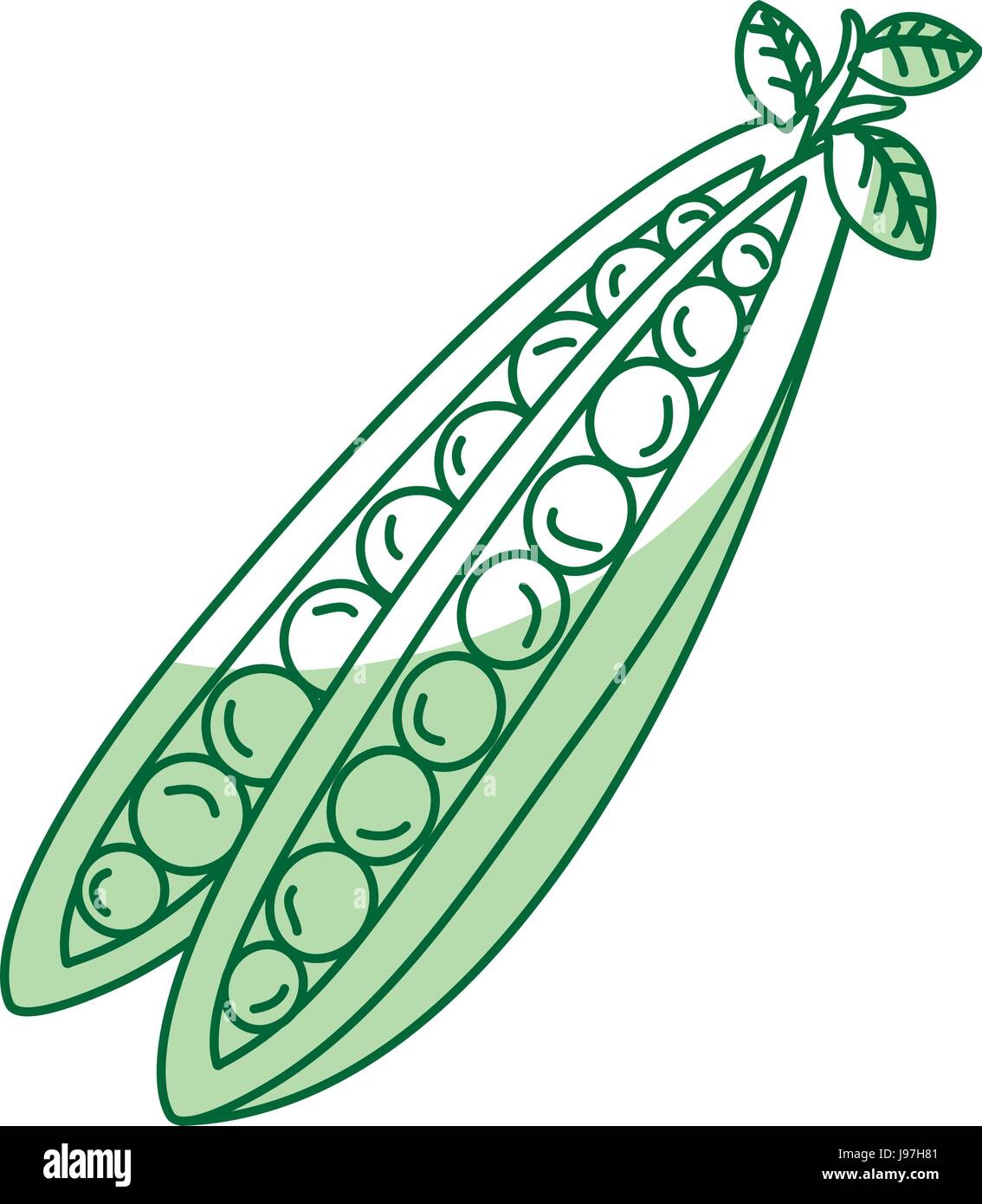 string bean fresh vegetable icon Stock Vector Image & Art - Alamy