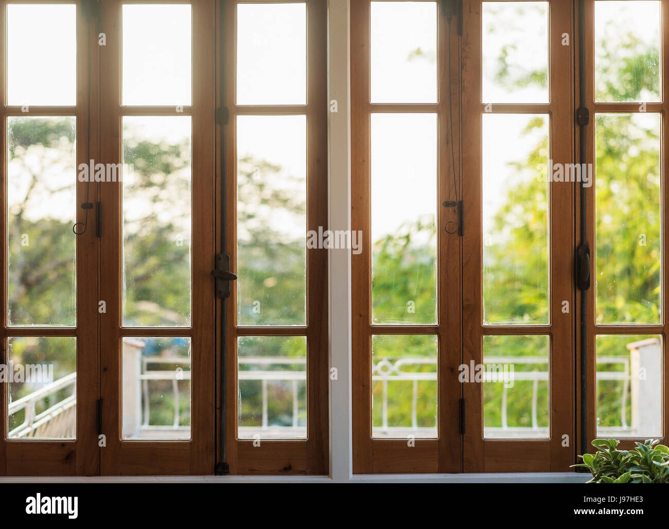 Trees seen through window Stock Photo - Alamy