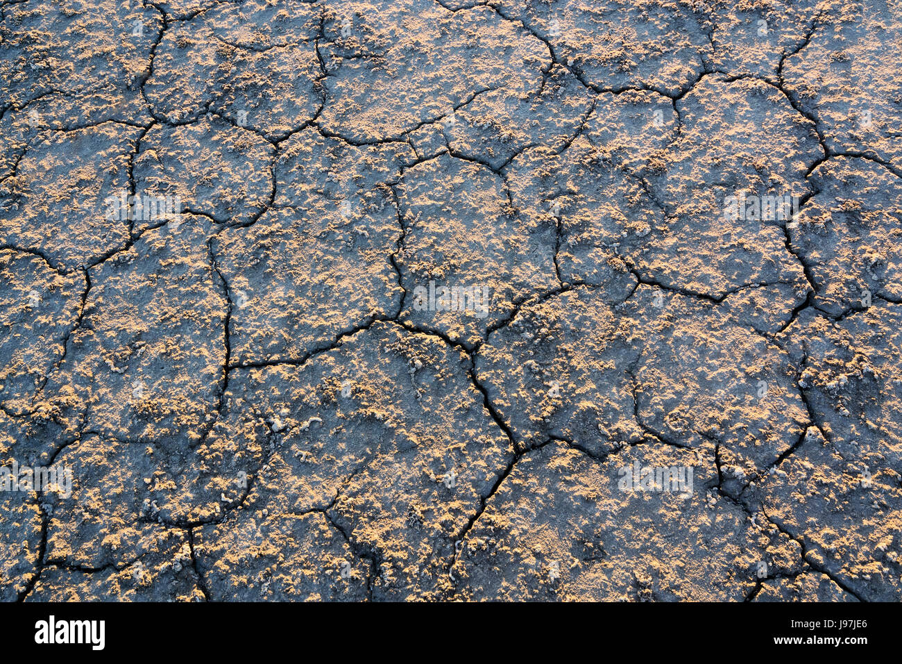 Overhead view of cracked desert Stock Photo - Alamy