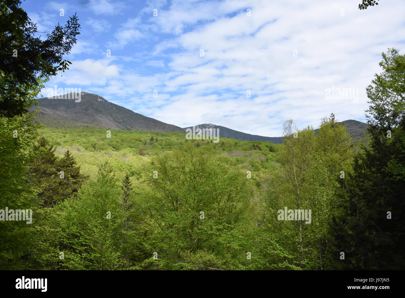Flume gorge mount liberty hi-res stock photography and images - Alamy