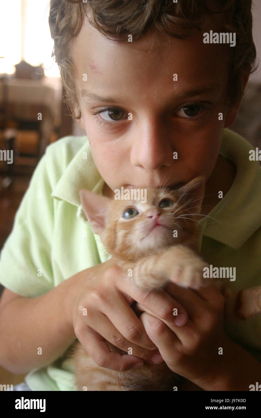 Portrait of little boy with small kitty Stock Photo - Alamy