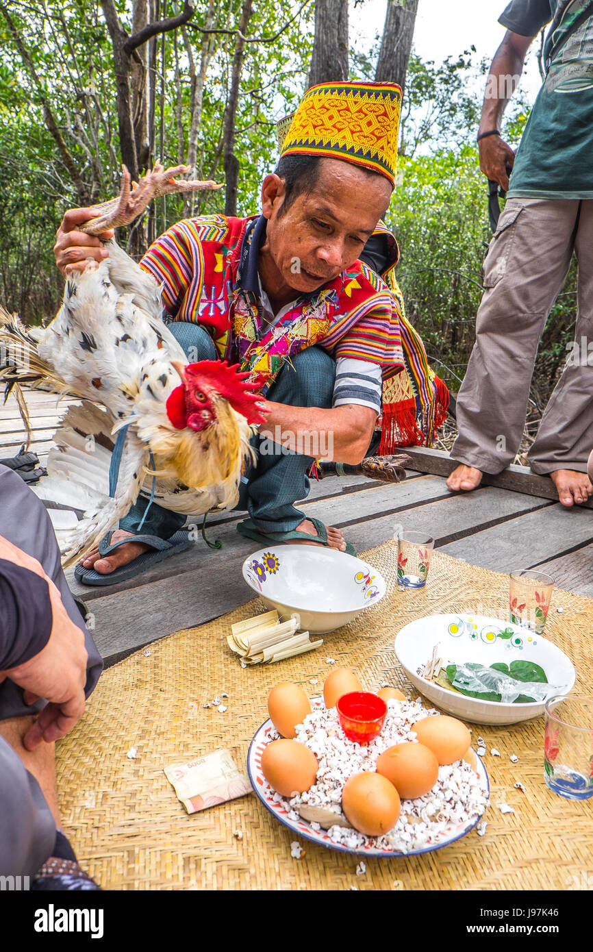 Indigenous longhouse hi-res stock photography and images - Alamy