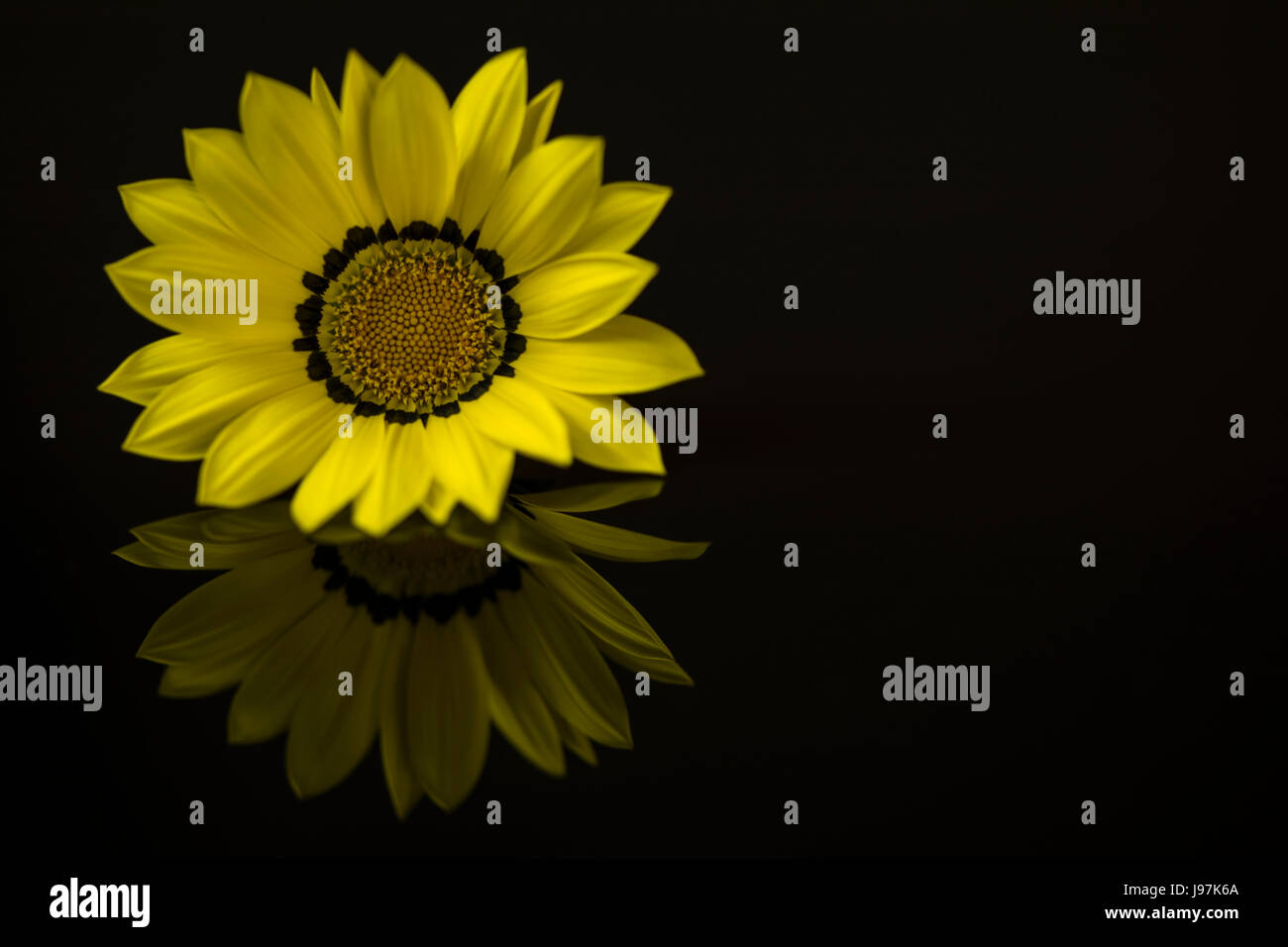 Text overlaying hi-res stock photography and images - Alamy