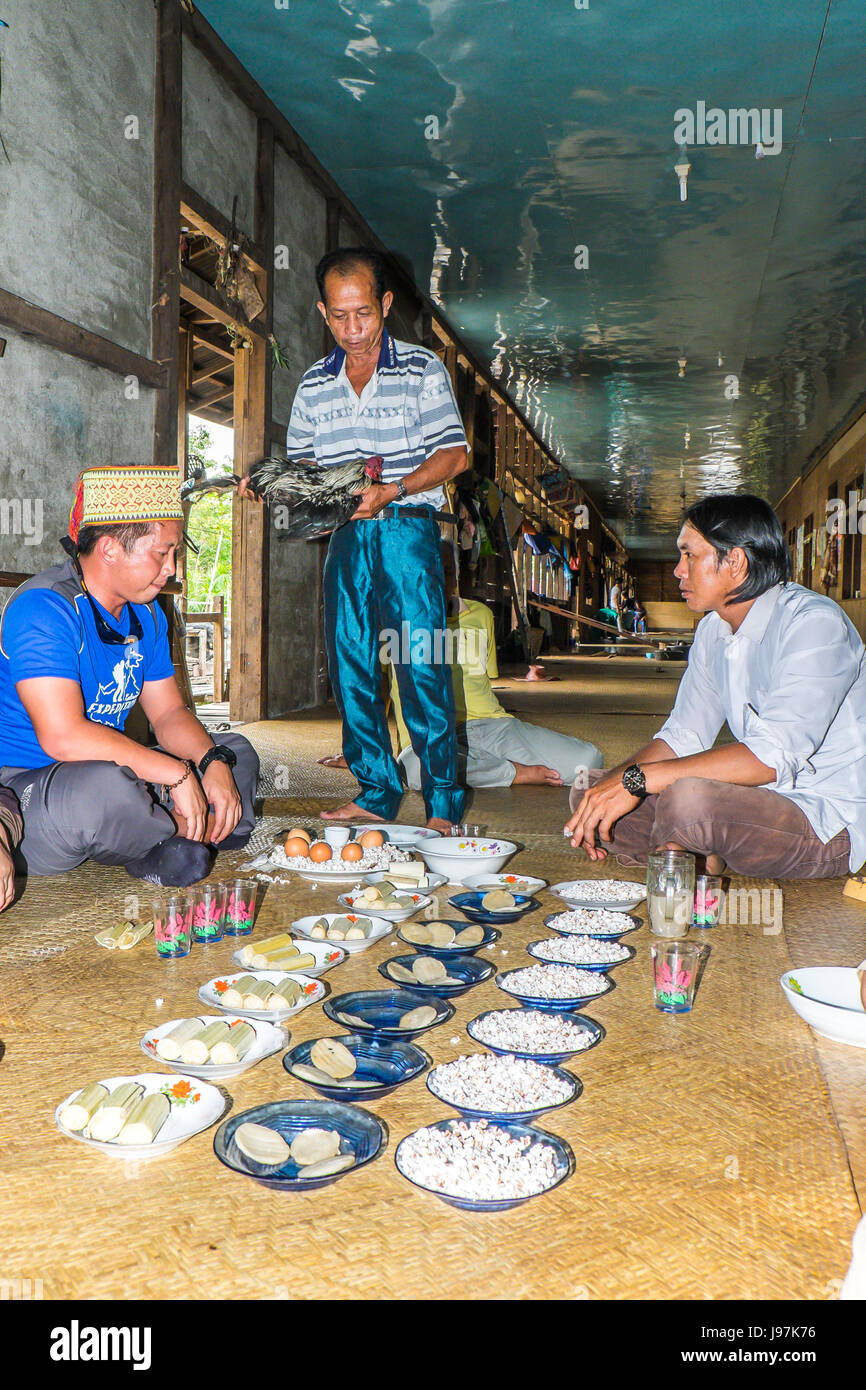 Iban borneo animal hi-res stock photography and images - Alamy