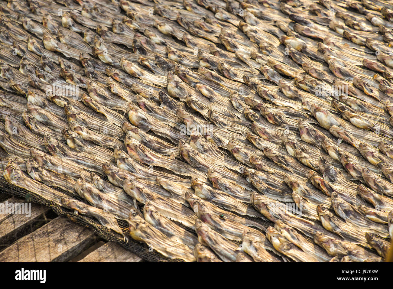 Preserving food methods hi-res stock photography and images - Alamy