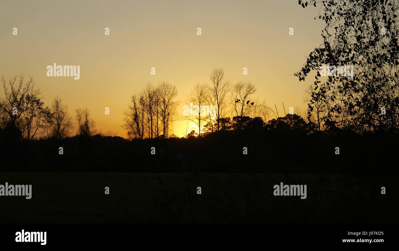Carolina Sunset, Albertson, North Carolina Stock Photo - Alamy