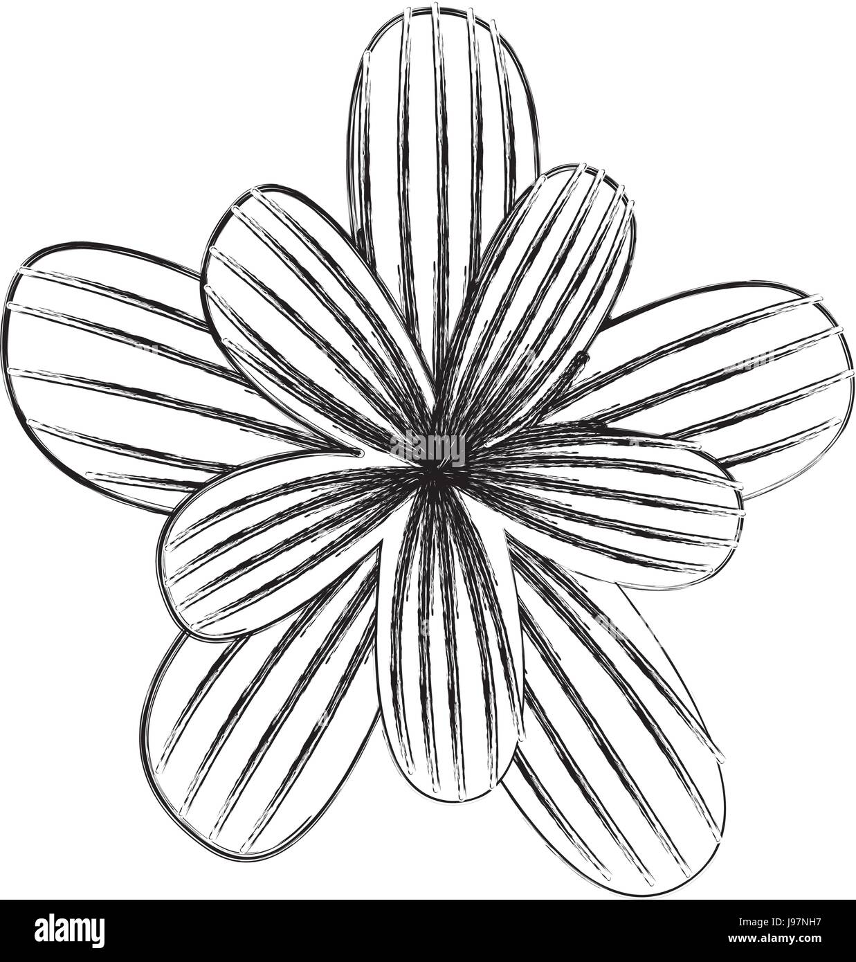 cute flower drawing decorative Stock Vector Image & Art - Alamy