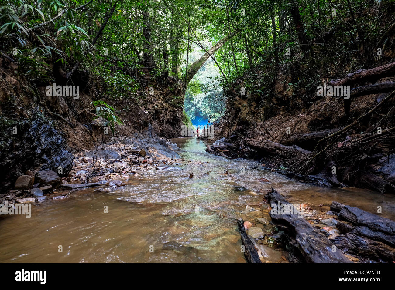 Heart lake trail hi-res stock photography and images - Alamy