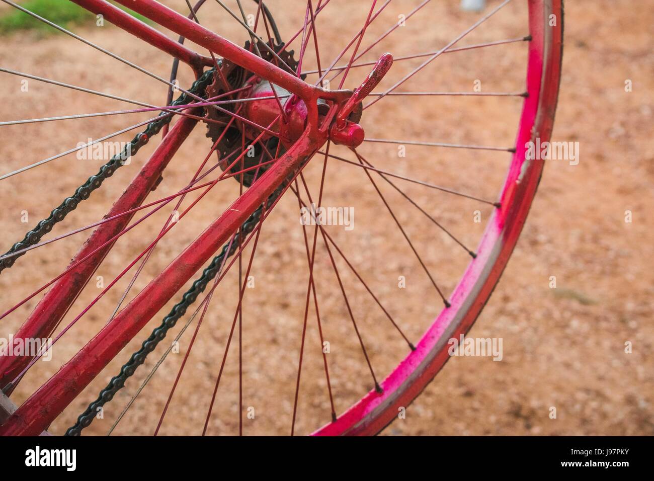 Cycle sport activity hi-res stock photography and images - Alamy