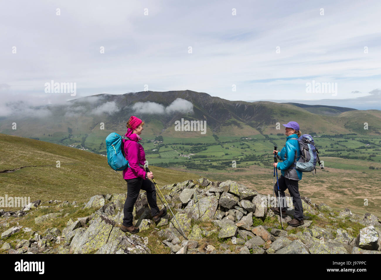 Head on pike hi-res stock photography and images - Alamy