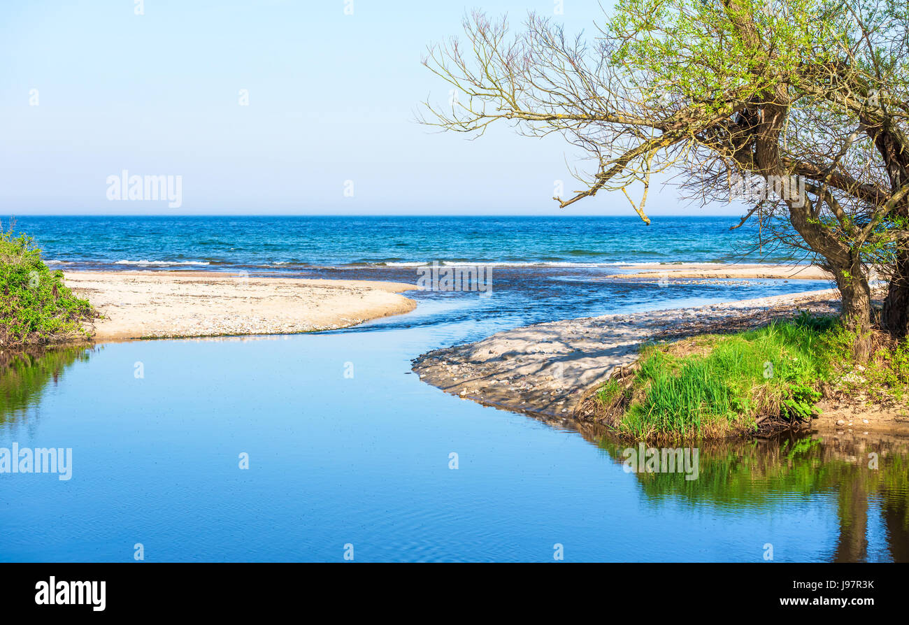 Small stream reaches the sea and freshwater flow through the river ...