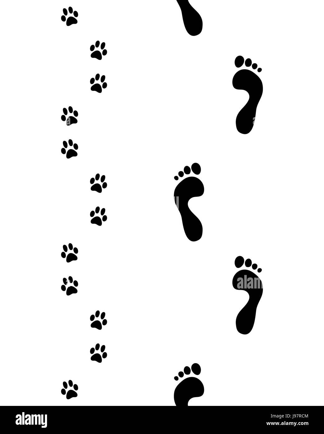 Prints of human feet and dog paws,seamless pattern, vector Stock Photo ...