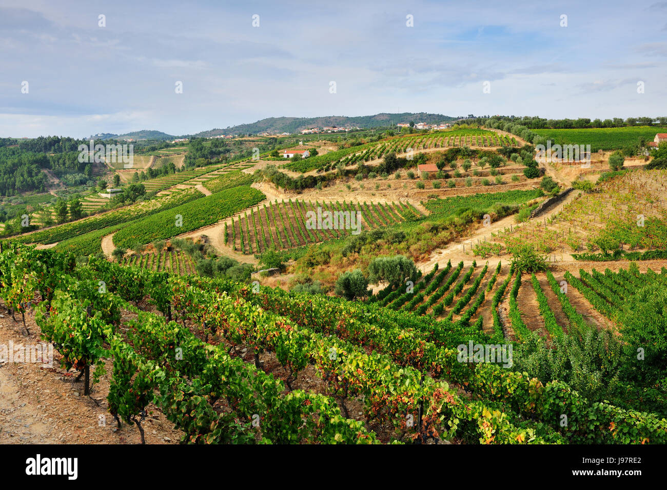 Heritage variety hi-res stock photography and images - Alamy