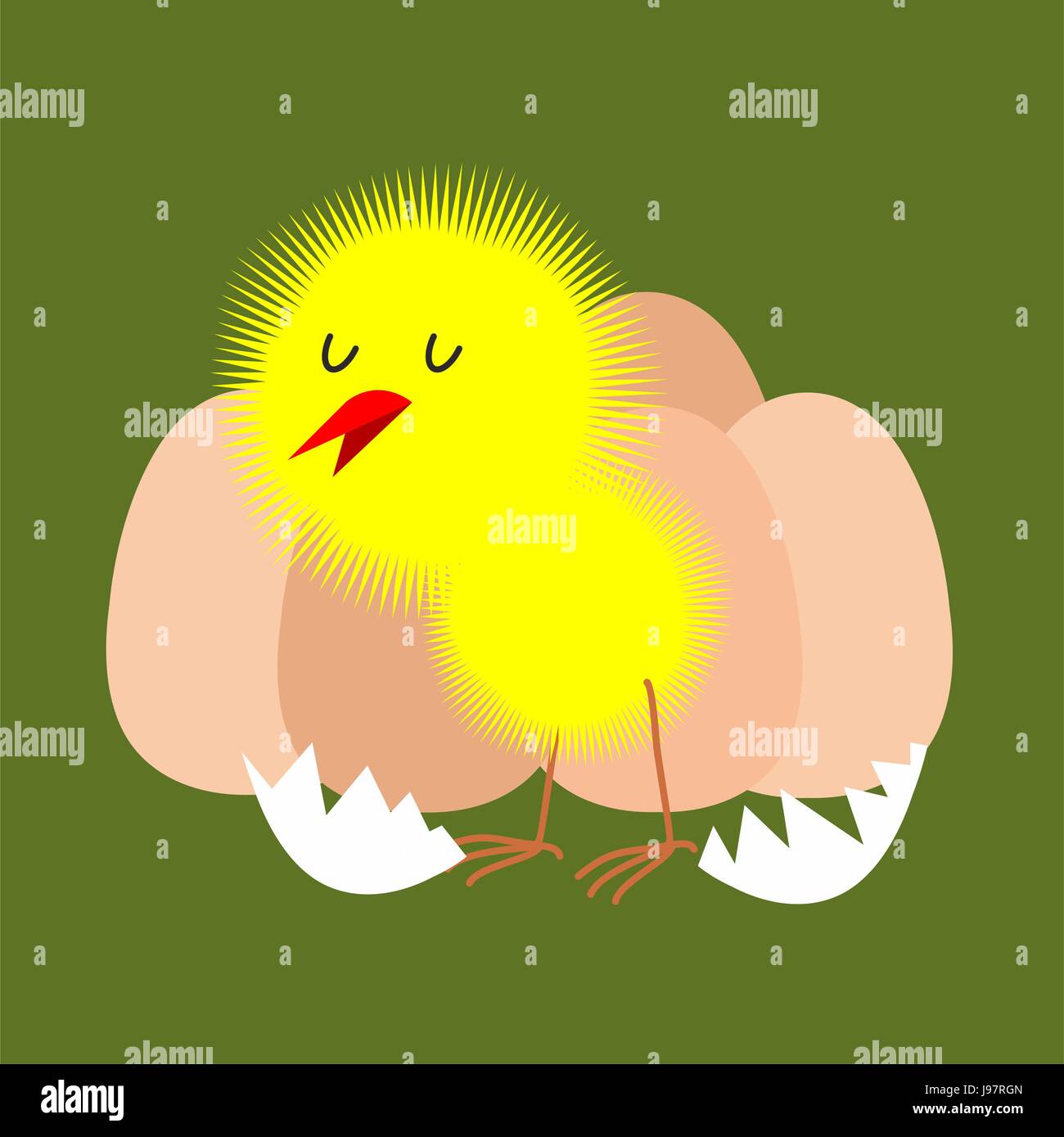 Chicken hatching from egg Stock Vector Images - Alamy