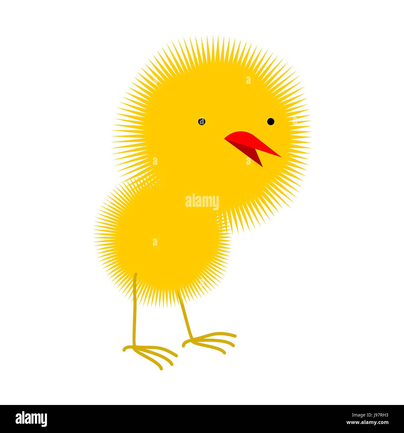 Fluffy yellow chick chicken. Little Chick on a white background. Vector ...