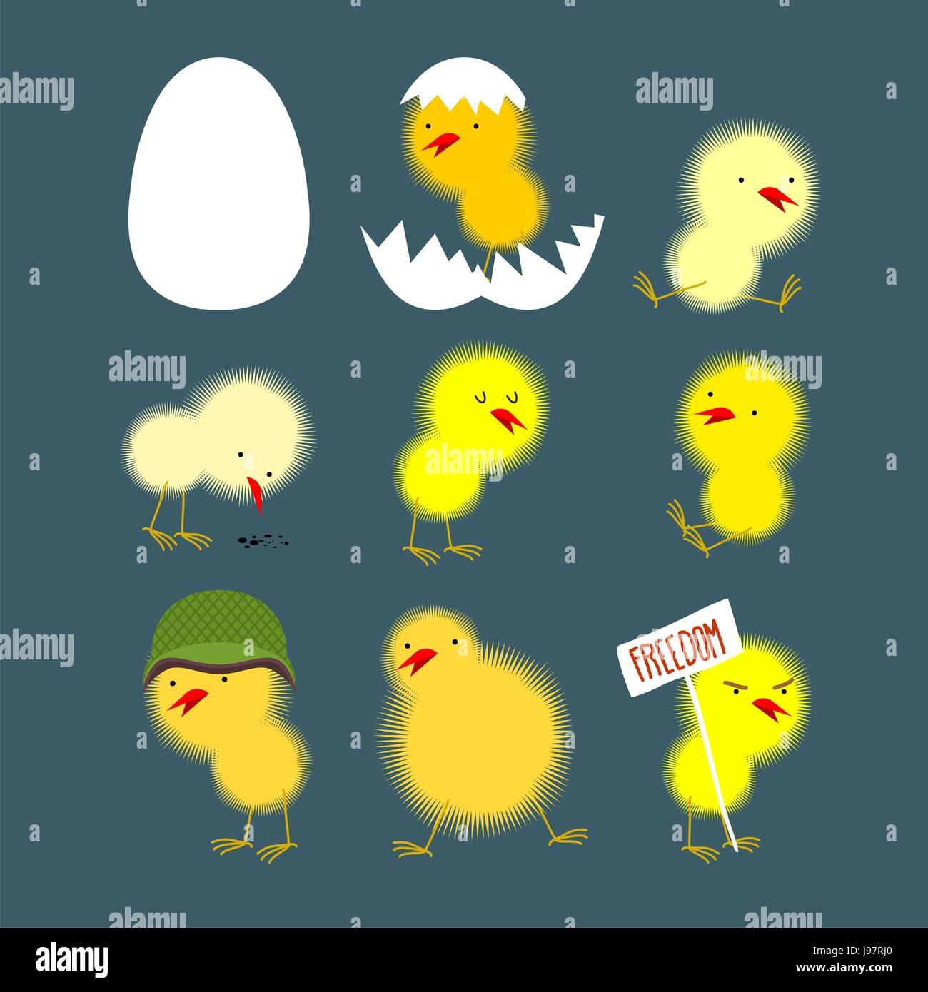Set of yellow chicks: white egg and chicken. Chick protests and chicken ...