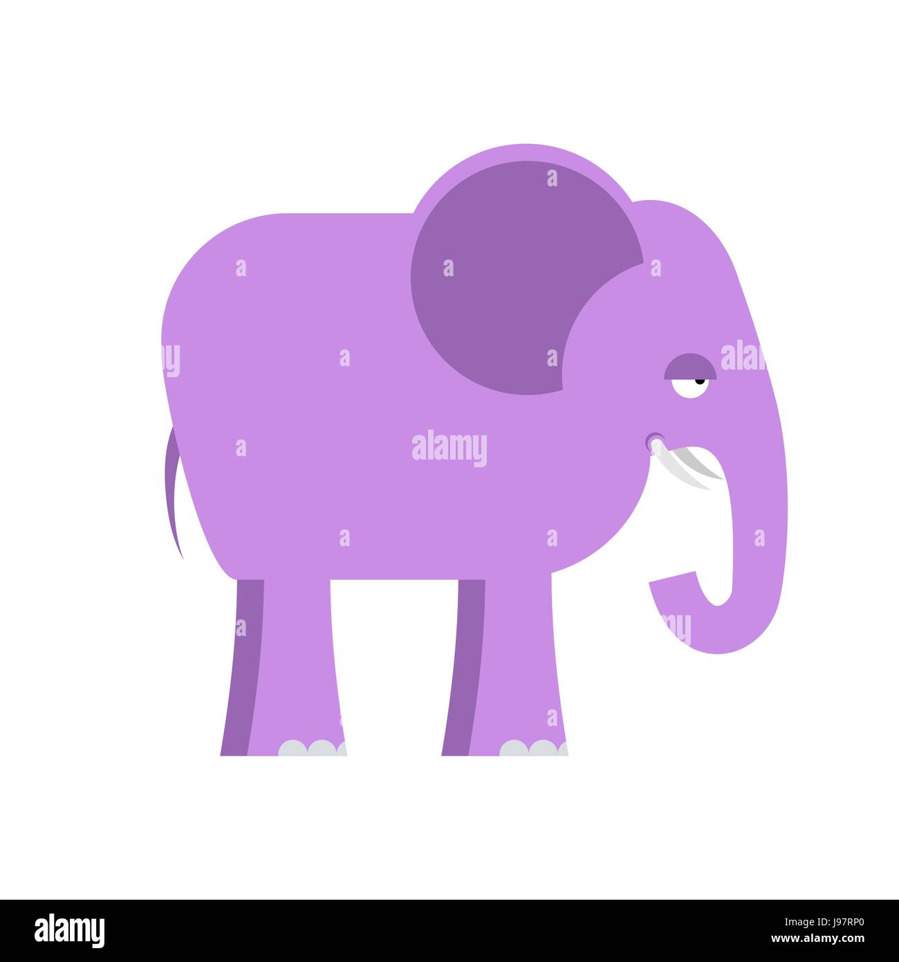 Purple elephant. Big cute animal. Animal from jungle. Wild beast ...