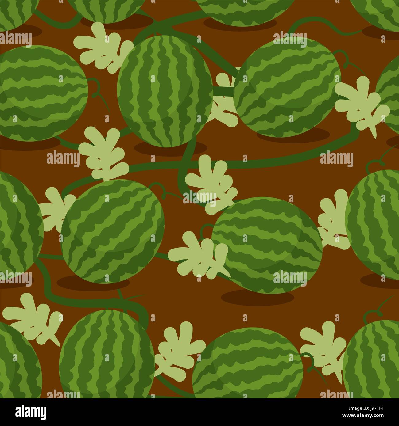 Water-melon plantation seamless pattern. Fruity vector background ...