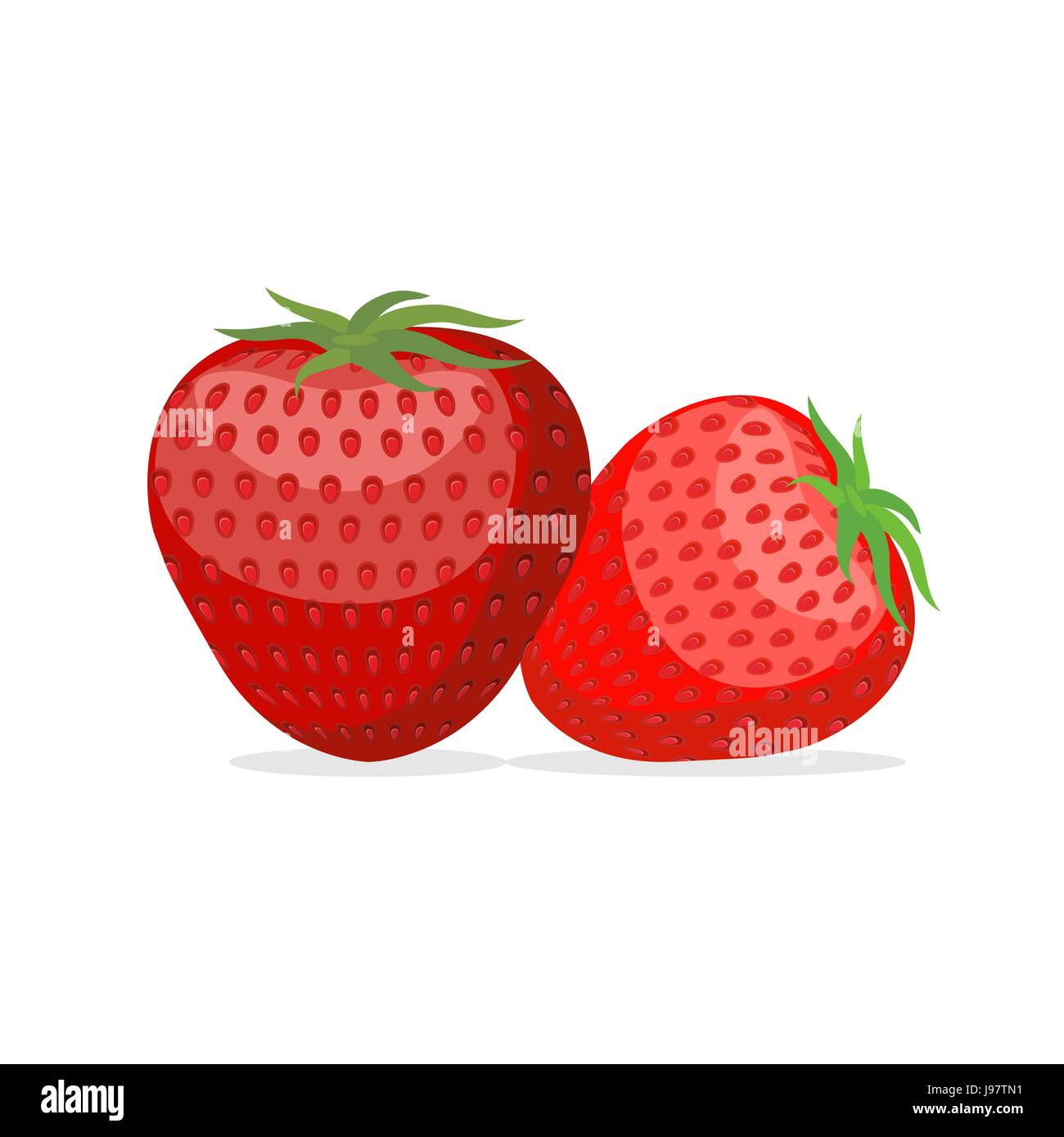 Strawberry. Two fresh red, ripe strawberries on white background ...
