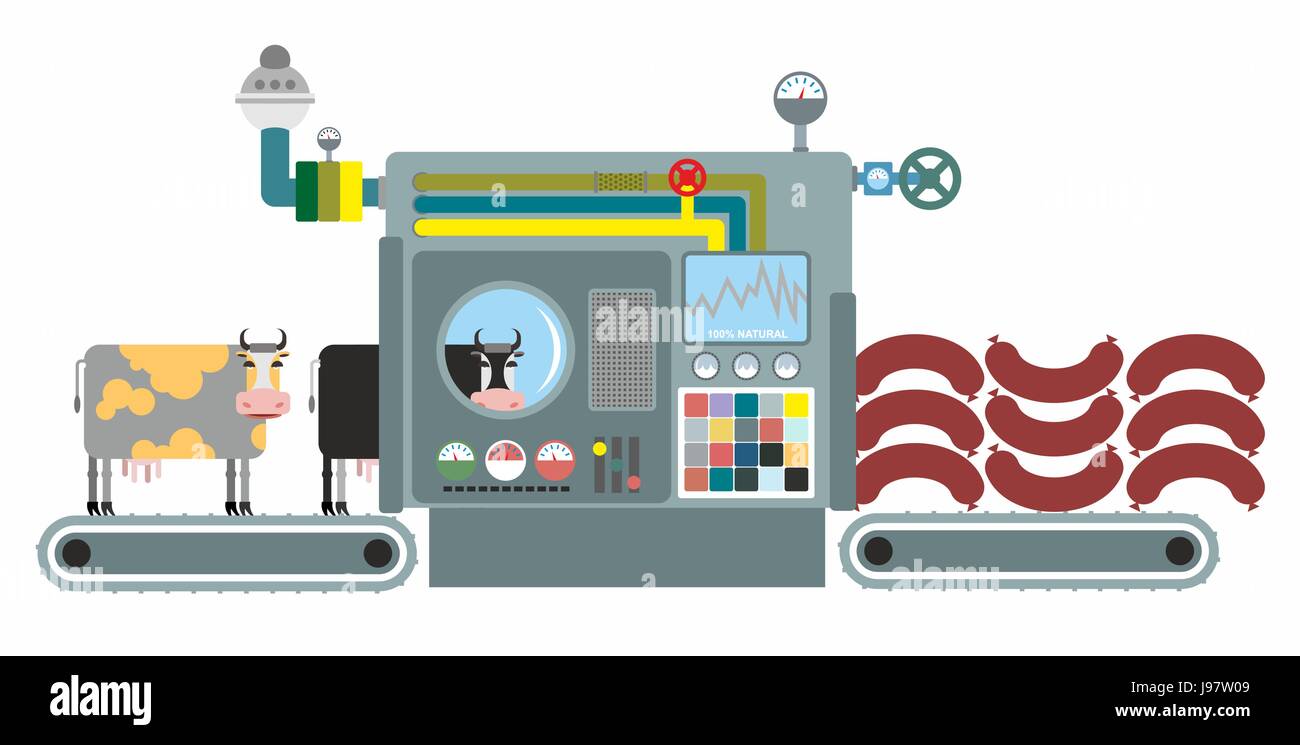 Infographic Production sausage. Stages of production of sausage made ...