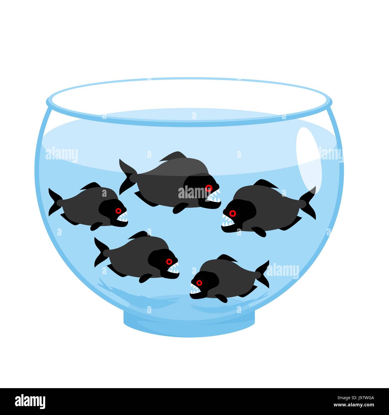 Aquarium with piranhas. Dangerous evil toothy fish. Scary Aquarium ...