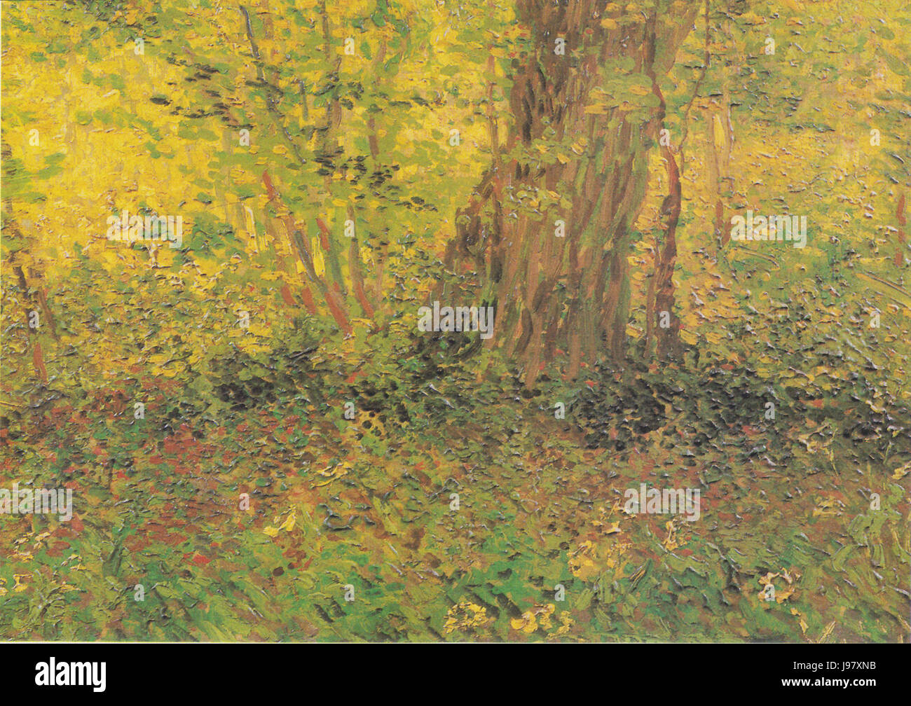 'Unterholz' (underbrush) by Vincent van Gogh is a depiction of nature's ...