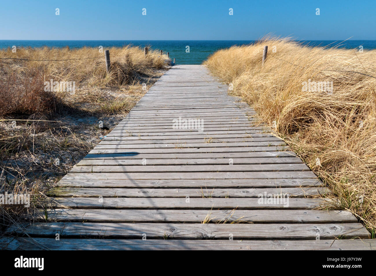beach, seaside, the beach, seashore, water, baltic sea, salt water, sea ...