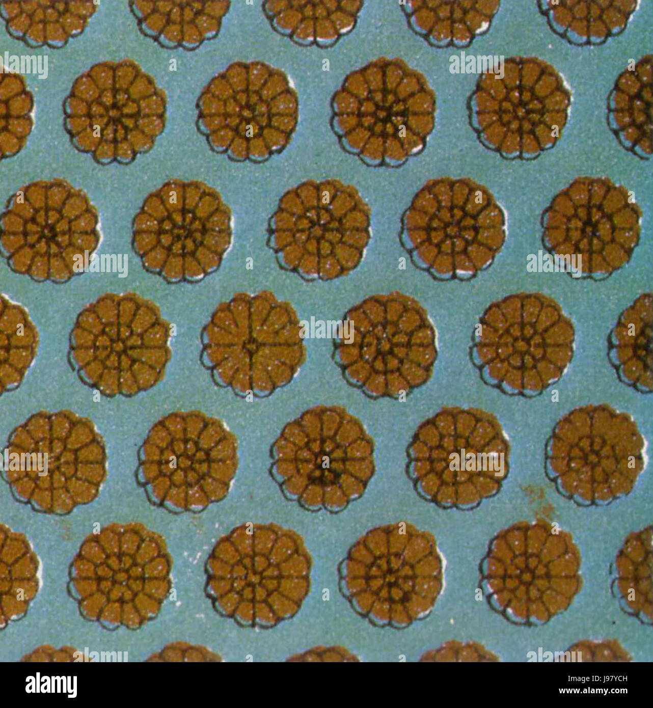 A design or collection of wallpaper patterns labeled as *group p6m ...