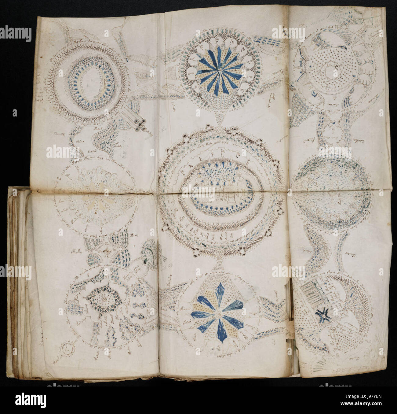 Voynich manuscript hi-res stock photography and images - Alamy