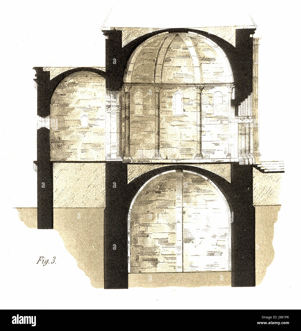 3 querschnitt hi-res stock photography and images - Alamy