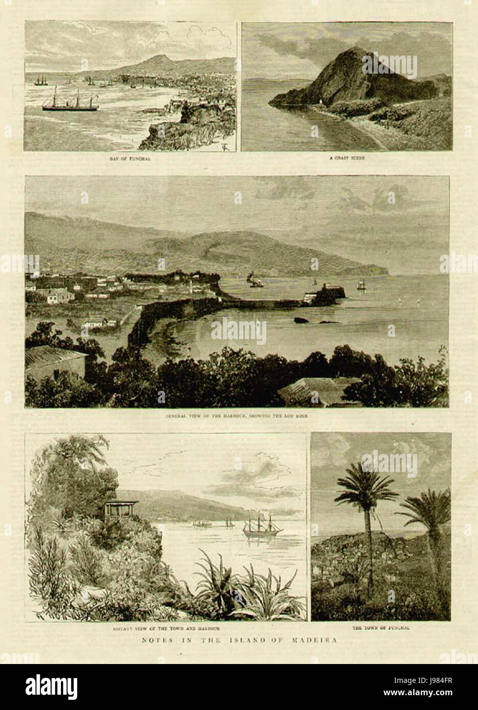 Notes in the Island of Madeira, 1886 Stock Photo - Alamy