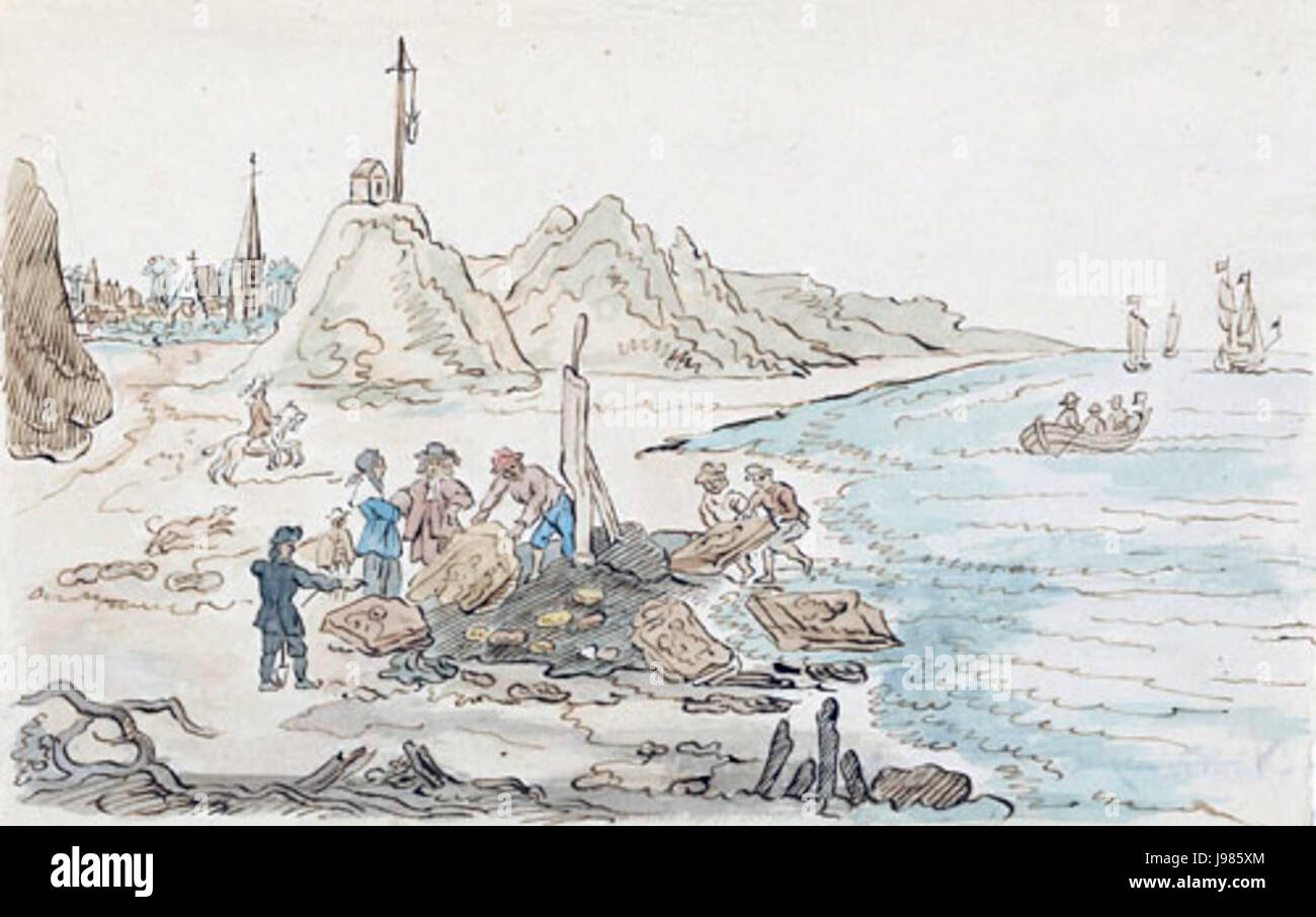 Nehalennia High Resolution Stock Photography and Images - Alamy