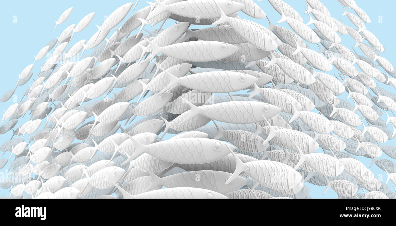 fish, underwater, fishing, wildlife, swarm, school, scales, swimming ...